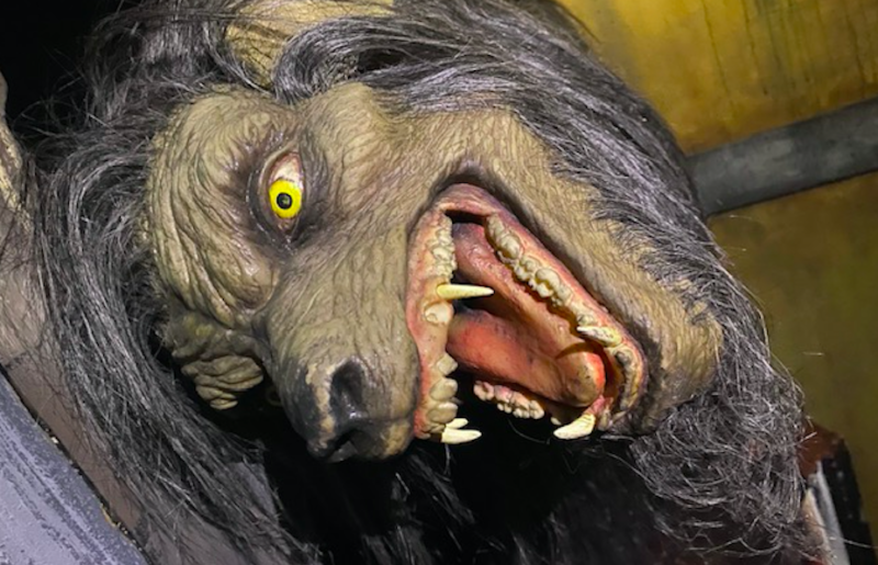 PREVIEW & PHOTOS: SFGA's Fright Fest Extreme brings the scares ...